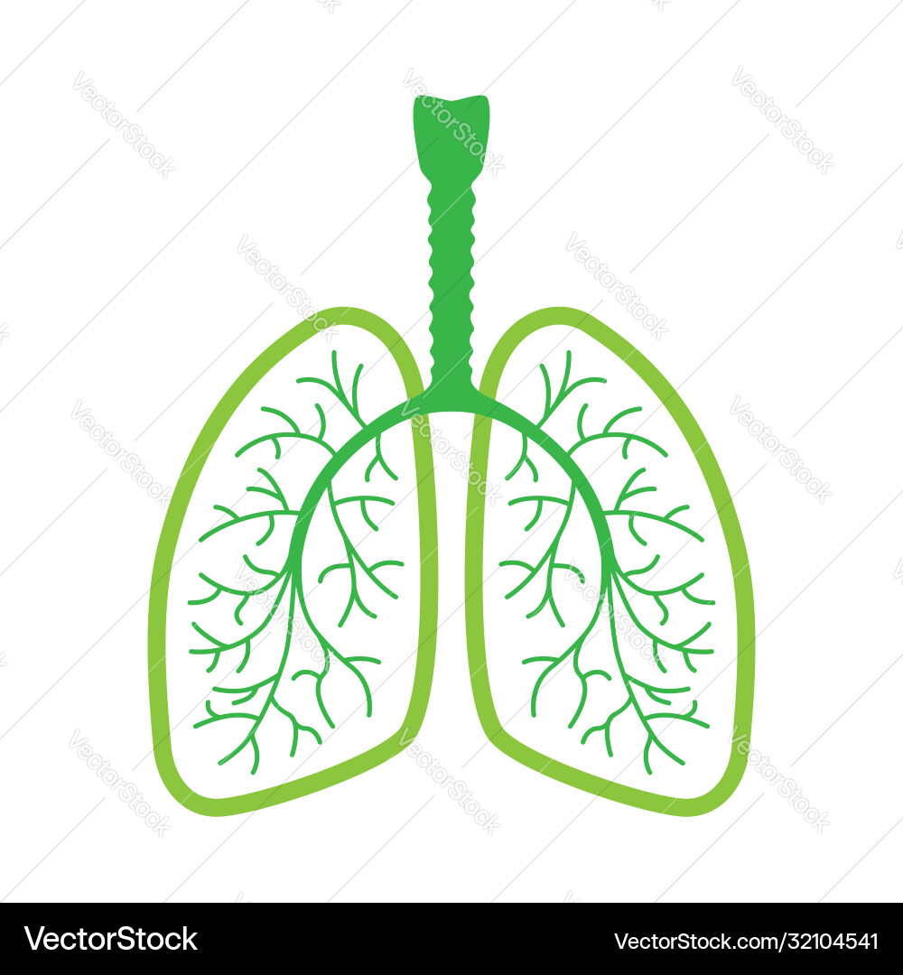Human Lungs Icon Royalty Free Vector Image - VectorStock