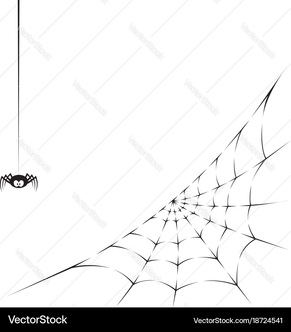 Spider and web Royalty Free Vector Image - VectorStock