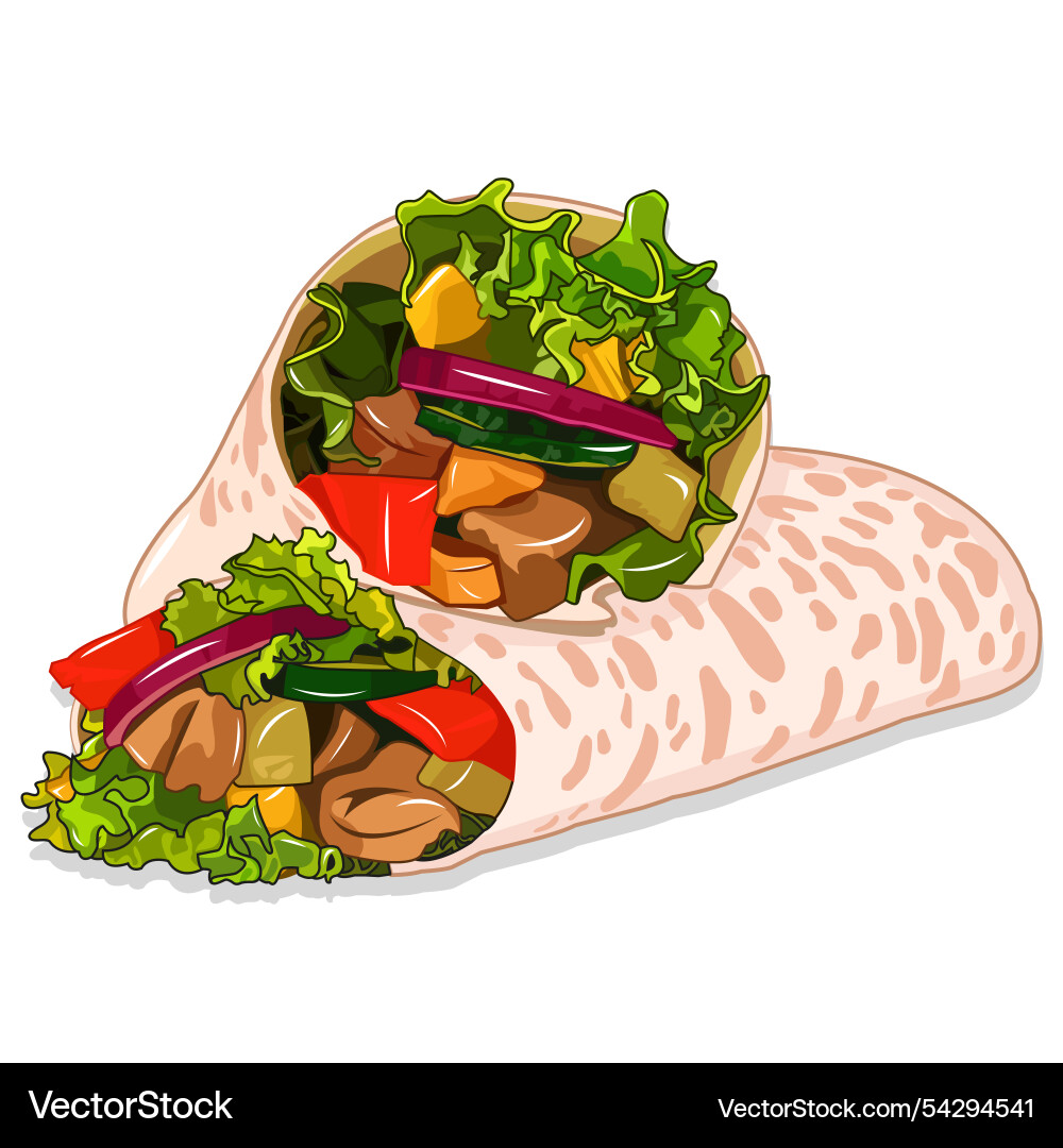 Two tortilla or kebab wraps filled with meat Vector Image