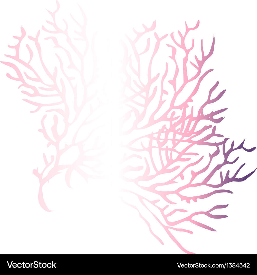 Coral Icon Vector Images (over 21,000)