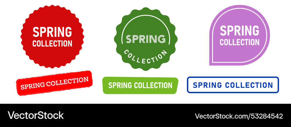 Spring collection special offer sale promotion Vector Image