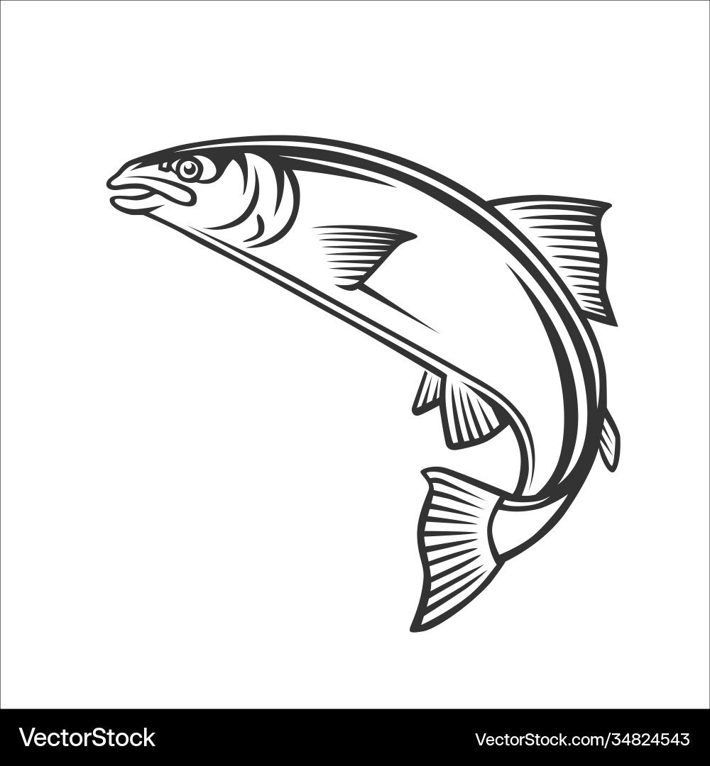 Fish fresh seafood template design Royalty Free Vector Image