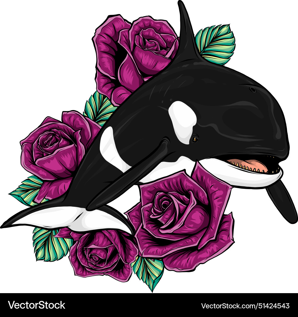 Killer whale or orca design Royalty Free Vector Image