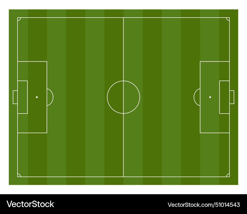 Soccer field standard lines Royalty Free Vector Image