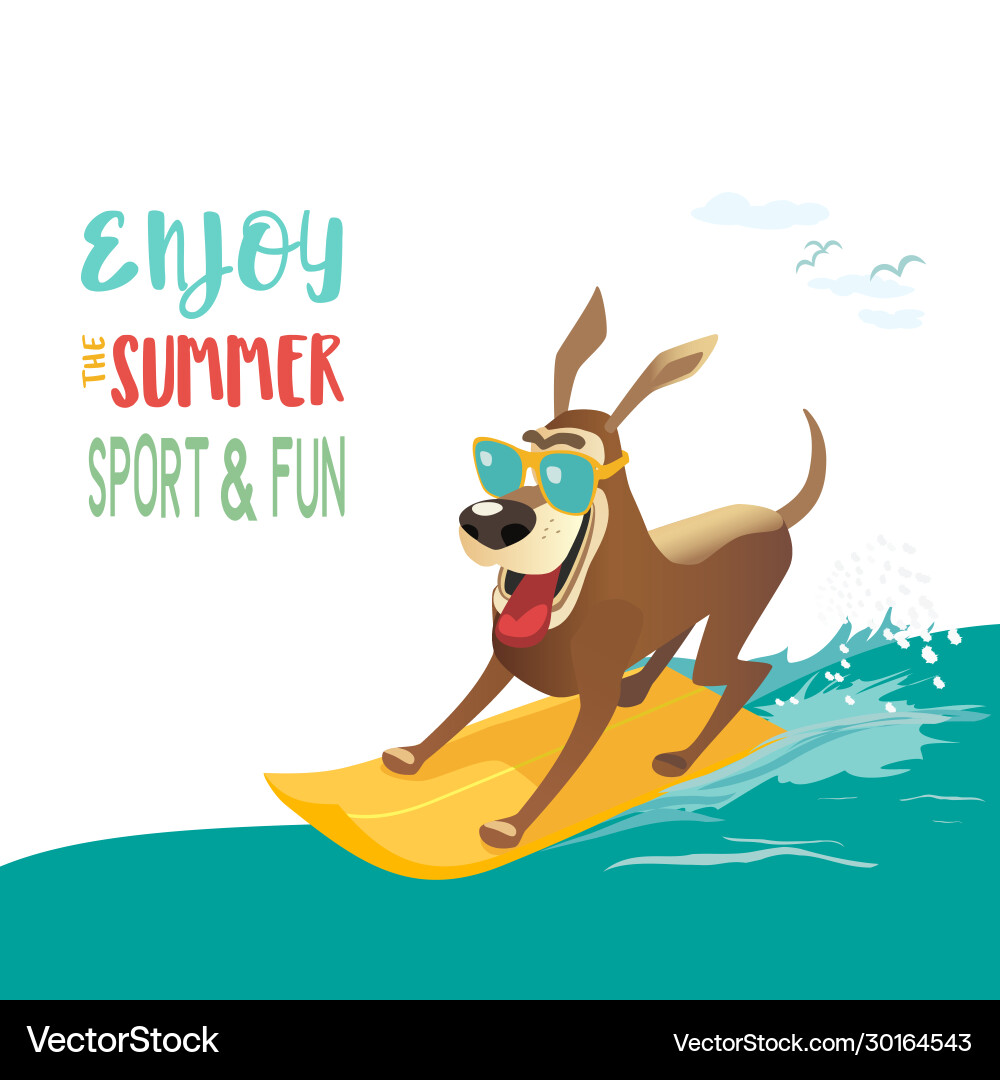 Summer fun sport Royalty Free Vector Image - VectorStock