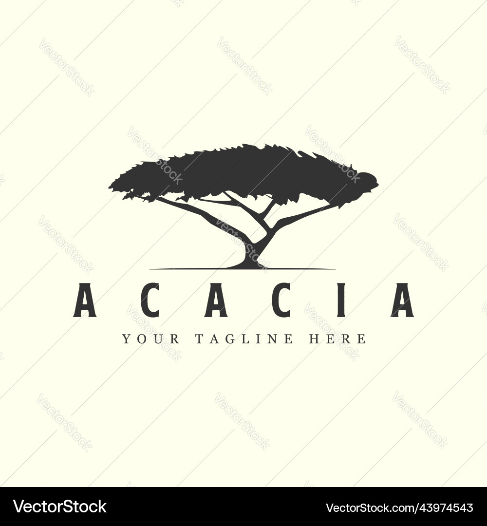 Vintage acacia tree with logo icon template design