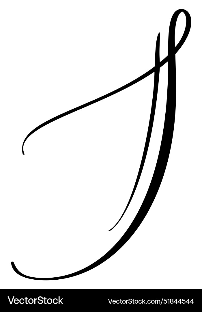 Hand drawn calligraphy letter j script Royalty Free Vector