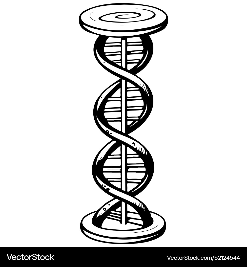 Realistic cartoon dna hand drawn line Royalty Free Vector