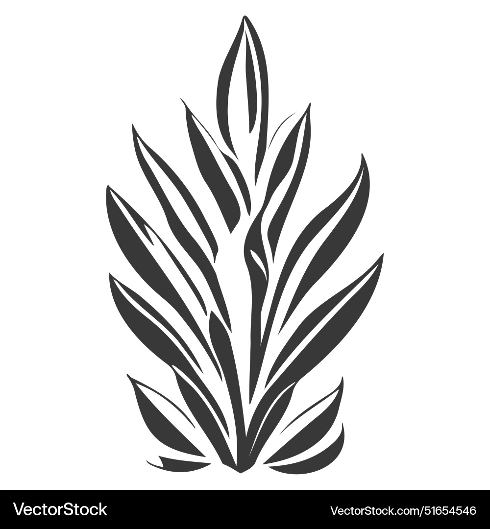 Aloe flower grey Royalty Free Vector Image - VectorStock