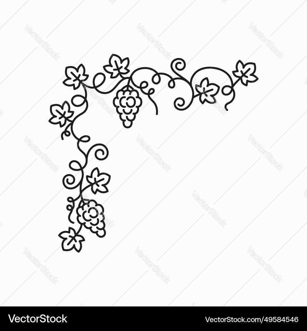 Corner border of grape vine bunches outline decor Vector Image