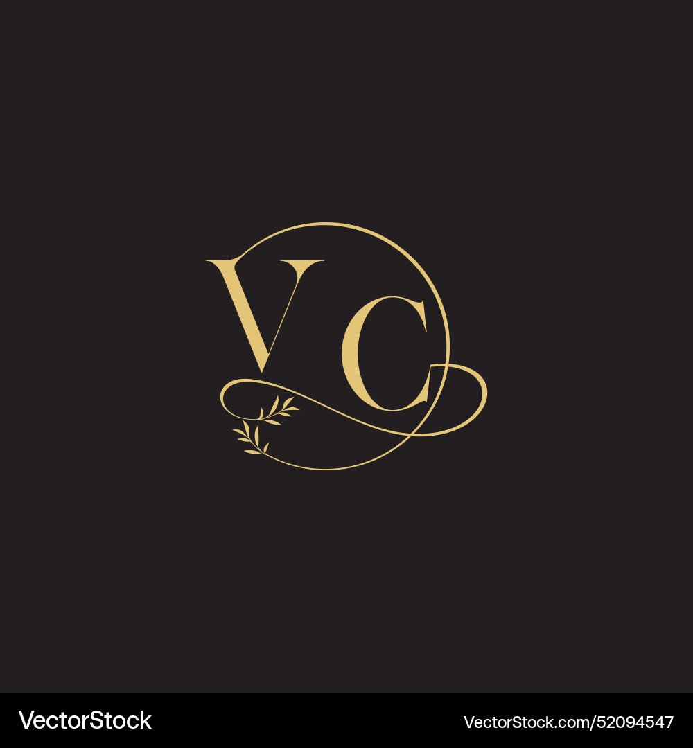 Circle and organic style vc wedding monogram Vector Image