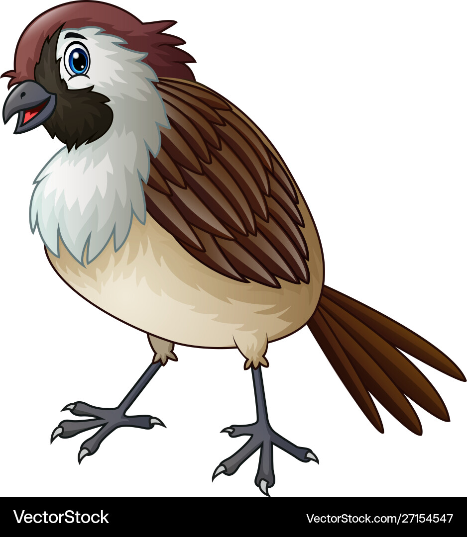 Funny a sparrow bird cartoon Royalty Free Vector Image