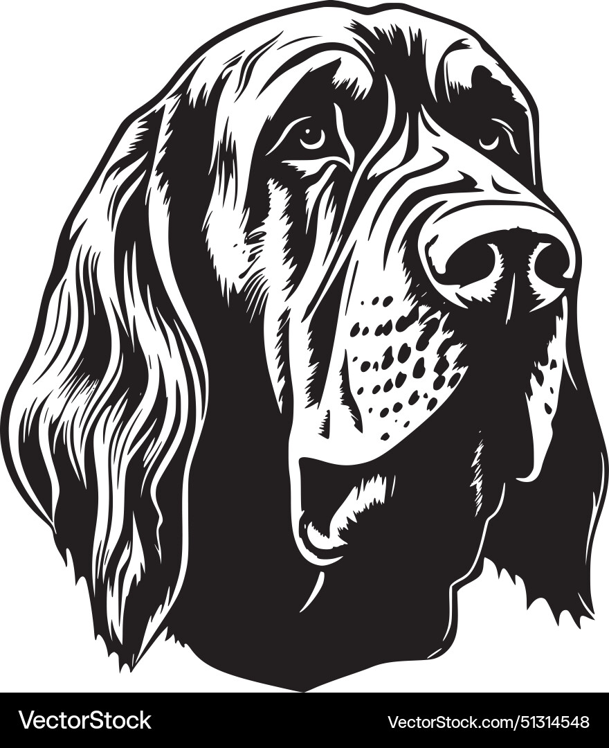 Bloodhound - black and white isolated icon Vector Image