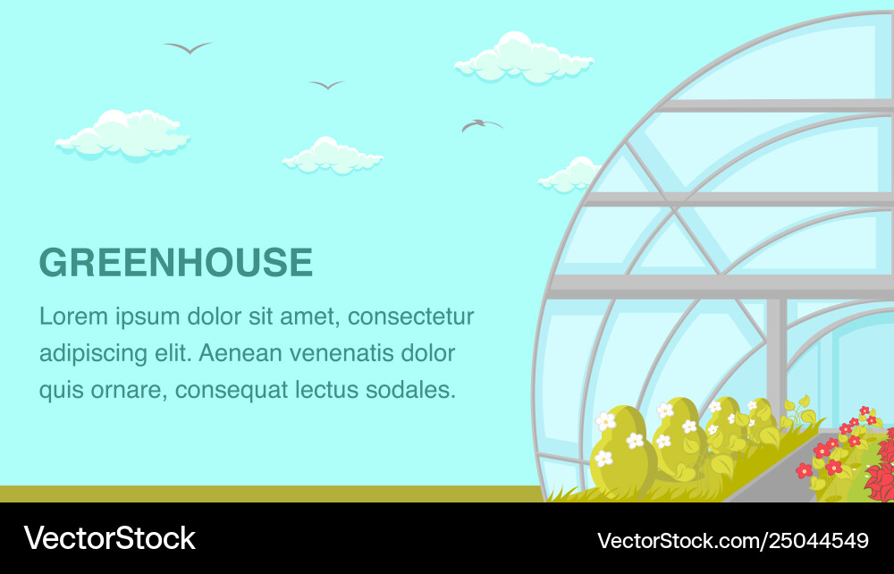 Greenhouse Plants Banner Template Royalty Free Vector Image