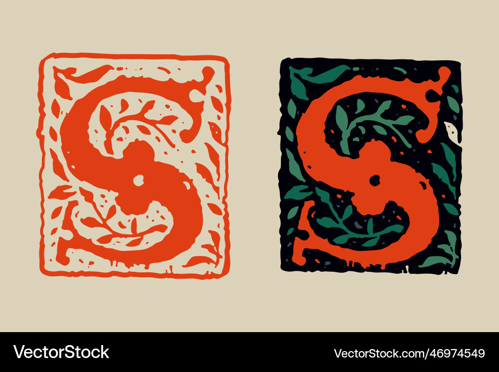 S letter medieval grunge gothic initial 16th Vector Image