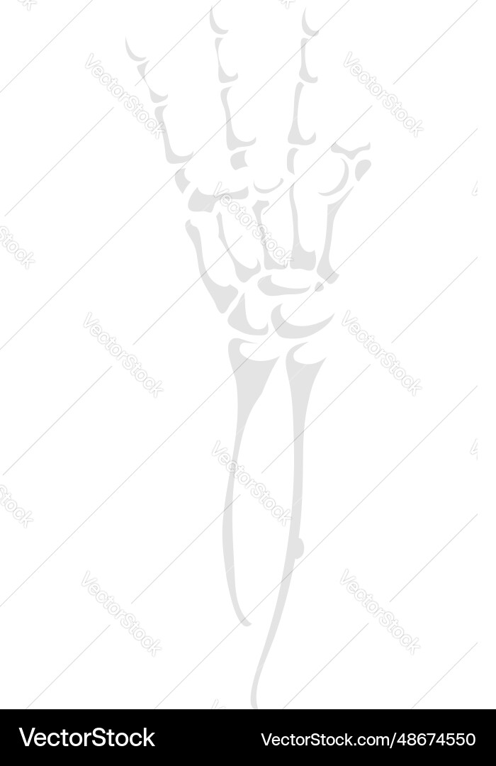 Skeleton hand forms a three-fingered gesture Vector Image