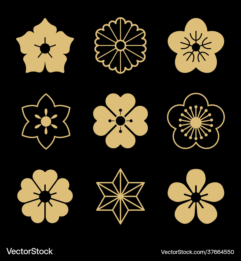 Traditional japanese symbols and patterns Vector Image