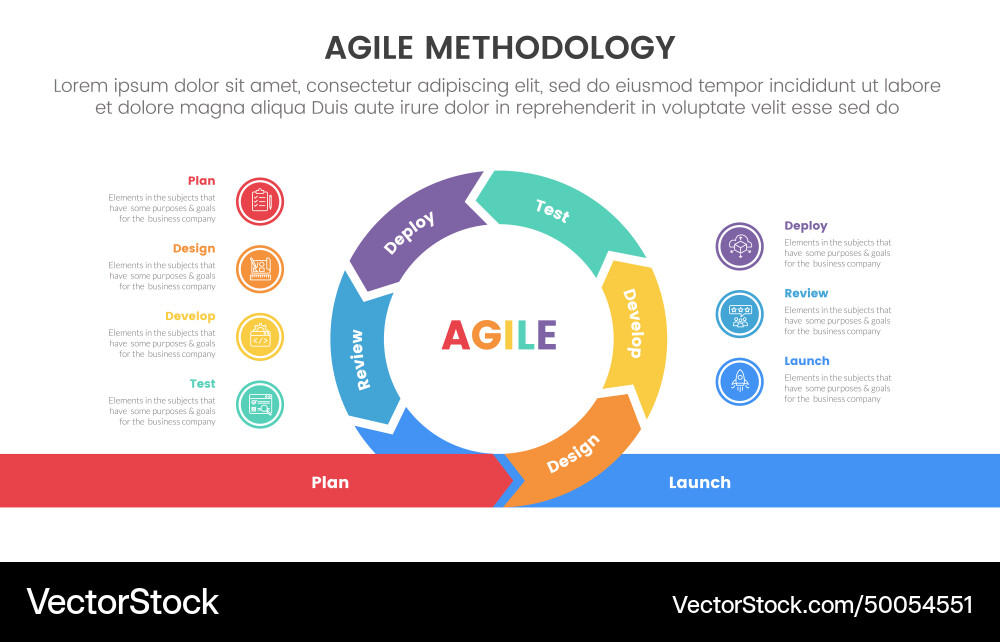 Agile SDLC Methodology - 7 Stage Diagram Vector Image