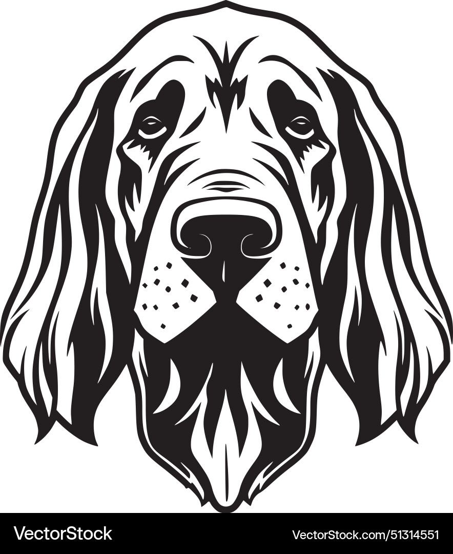 Bloodhound - black and white isolated icon Vector Image