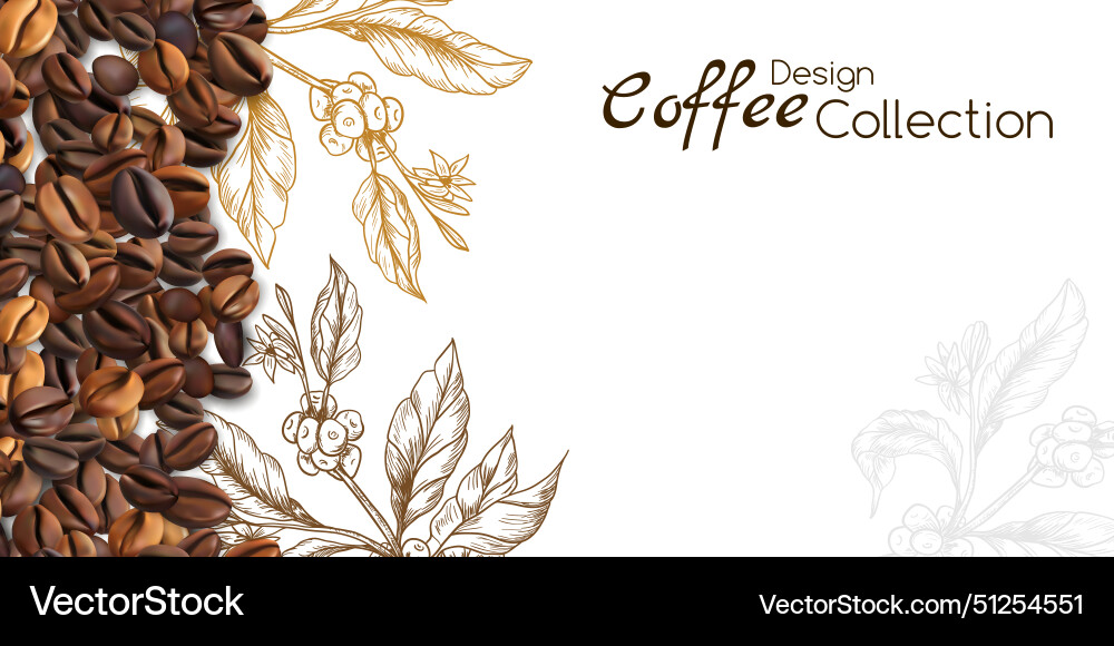 Coffee beans border with branches Royalty Free Vector Image