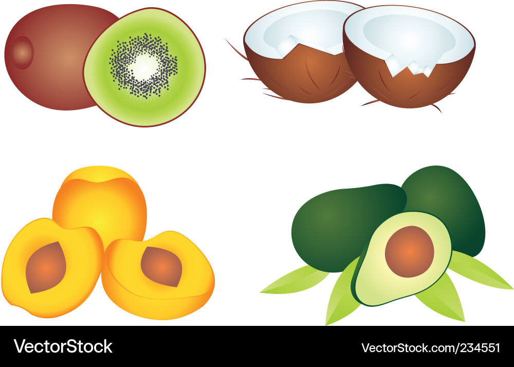 Fruits Royalty Free Vector Image - VectorStock