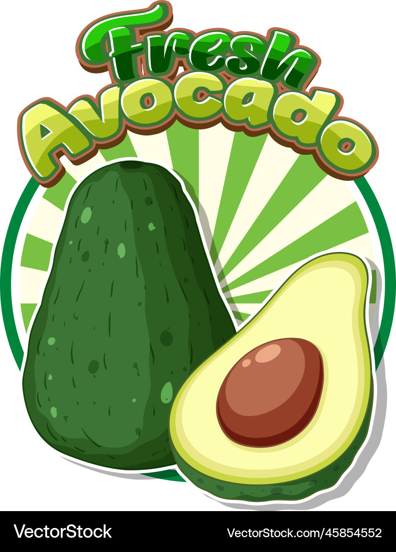 Avocado fruit cartoon isolated Royalty Free Vector Image