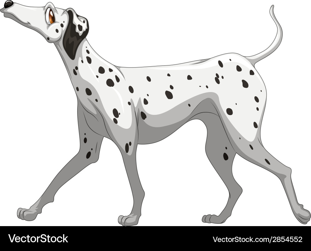 Dog Royalty Free Vector Image - VectorStock