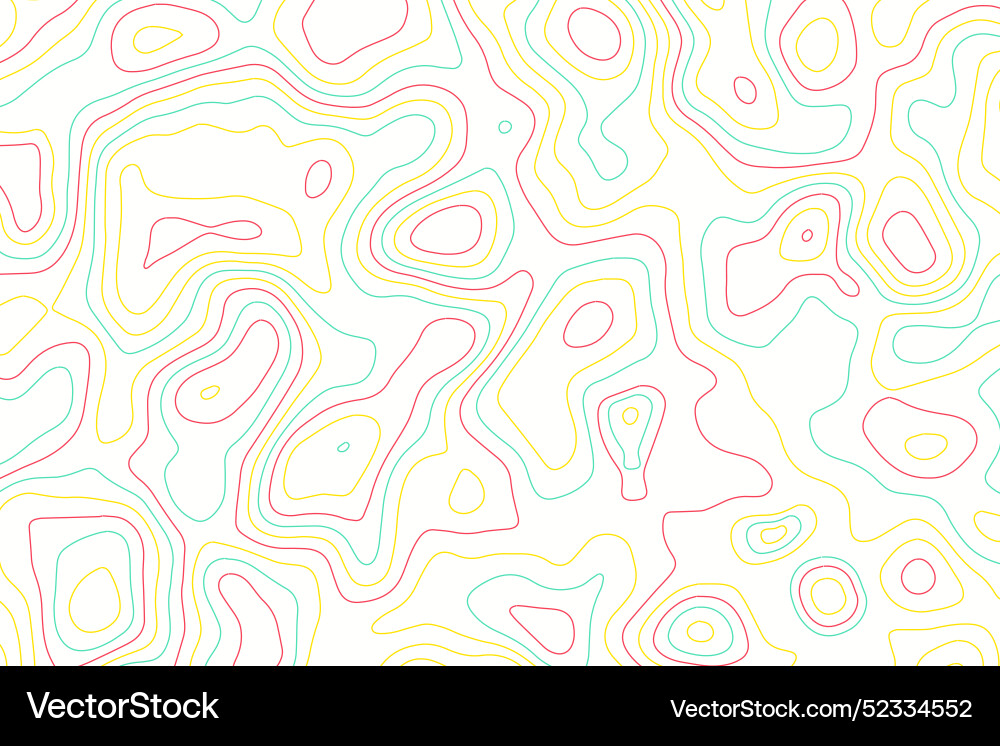 Topographic map contour lines Royalty Free Vector Image