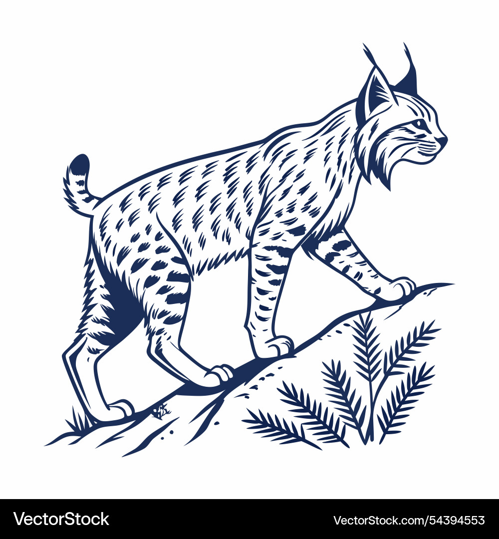 A bobcat angry animal Royalty Free Vector Image