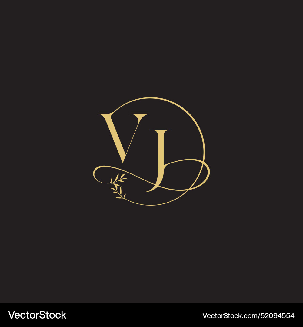 Circle and organic style vj wedding monogram Vector Image