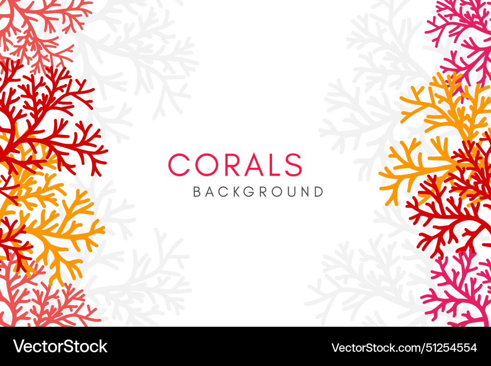 Corals reef background with vertical borders Vector Image