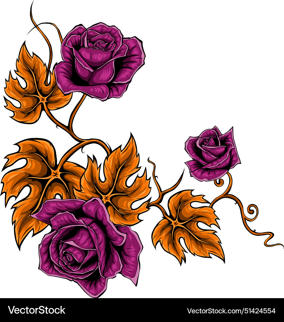 Rose flower with green leaves Royalty Free Vector Image