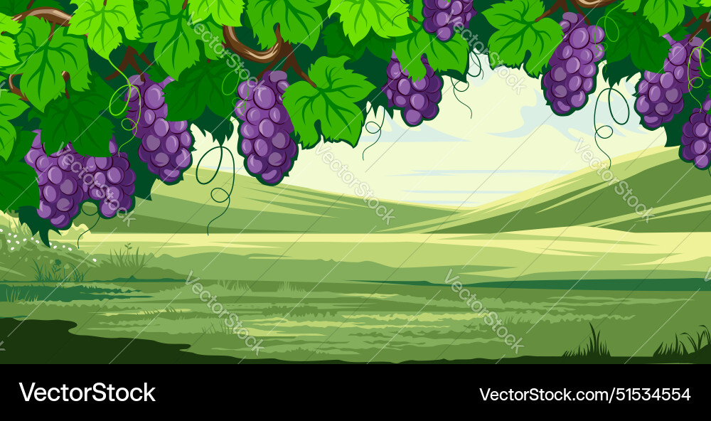 View of a vineyard Royalty Free Vector Image - VectorStock