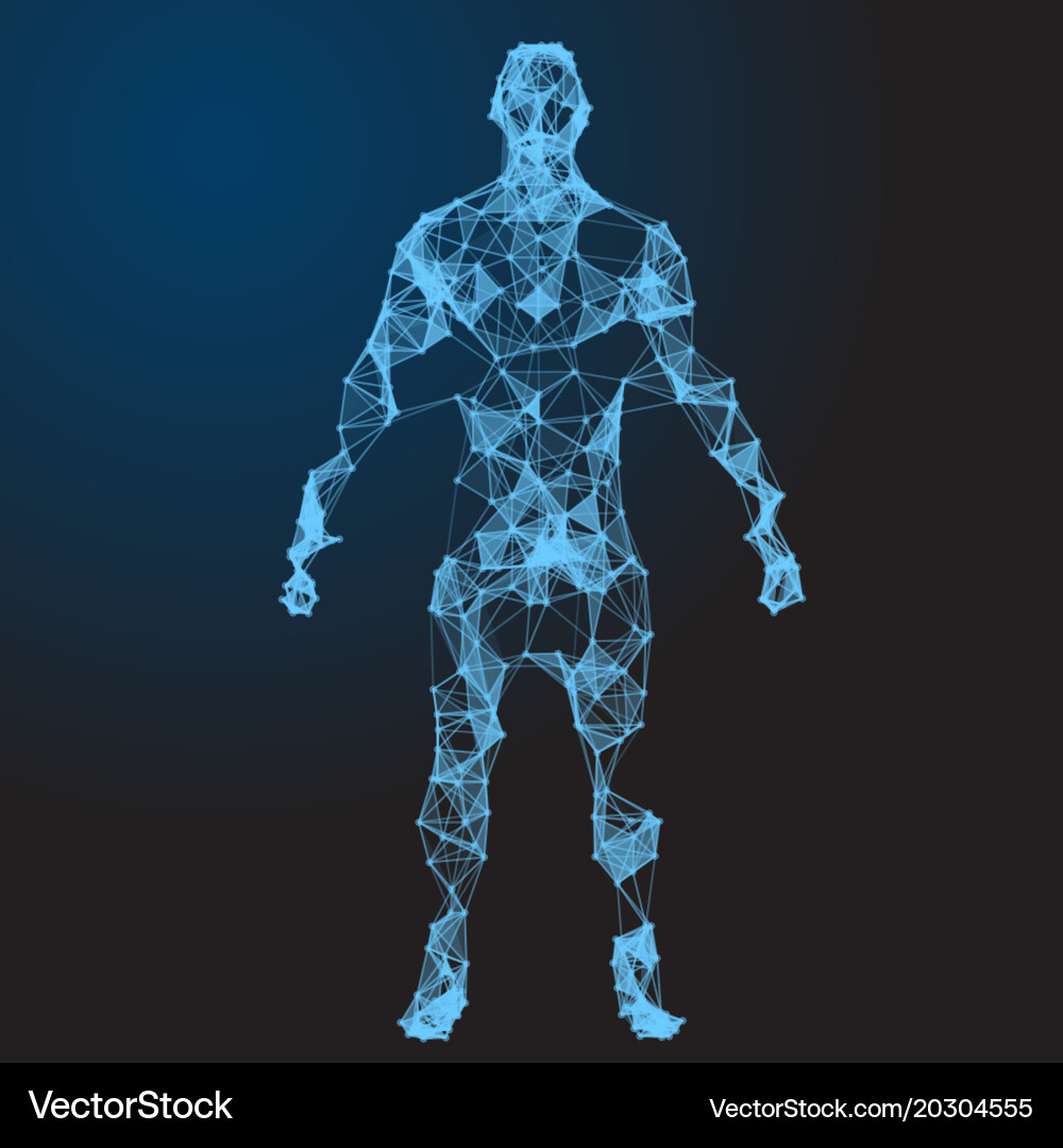 Low Poly Human Wireframe Royalty Free Vector Image