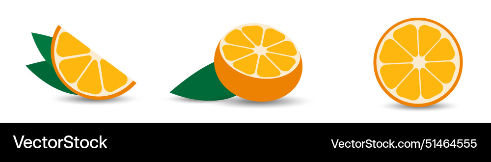 Orange fruit fresh slices Royalty Free Vector Image