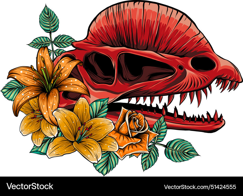 Skull of dilophosaurus dinosaur Royalty Free Vector Image