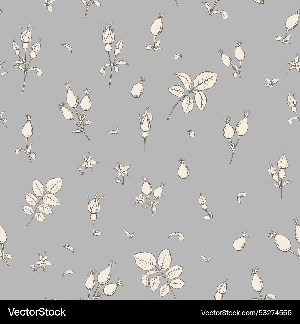 Bicolor rose floral pattern modern botanical Vector Image