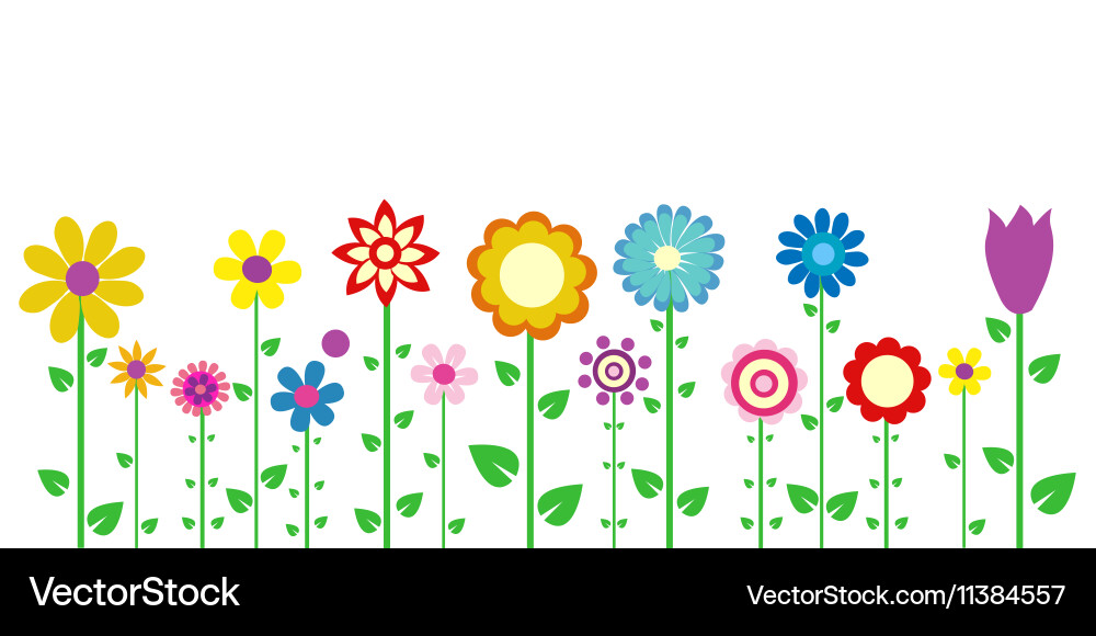 Colorful spring flowers Royalty Free Vector Image