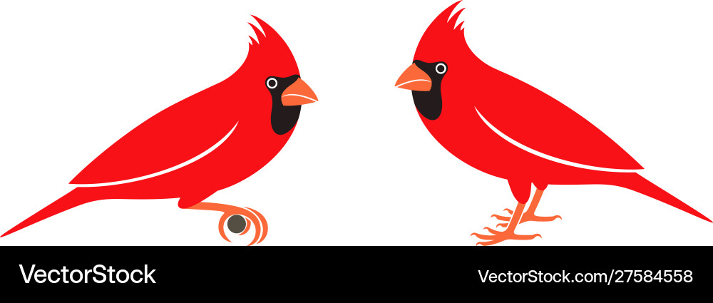 Cardinal bird Royalty Free Vector Image - VectorStock