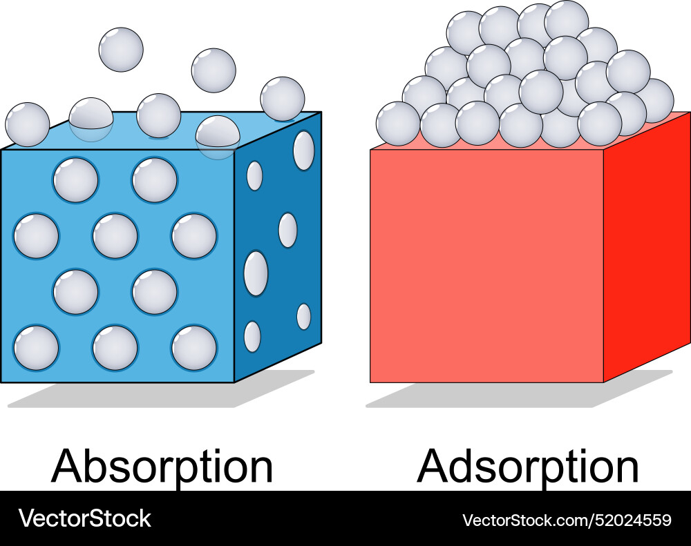Adsorption and absorption physical or chemical Vector Image