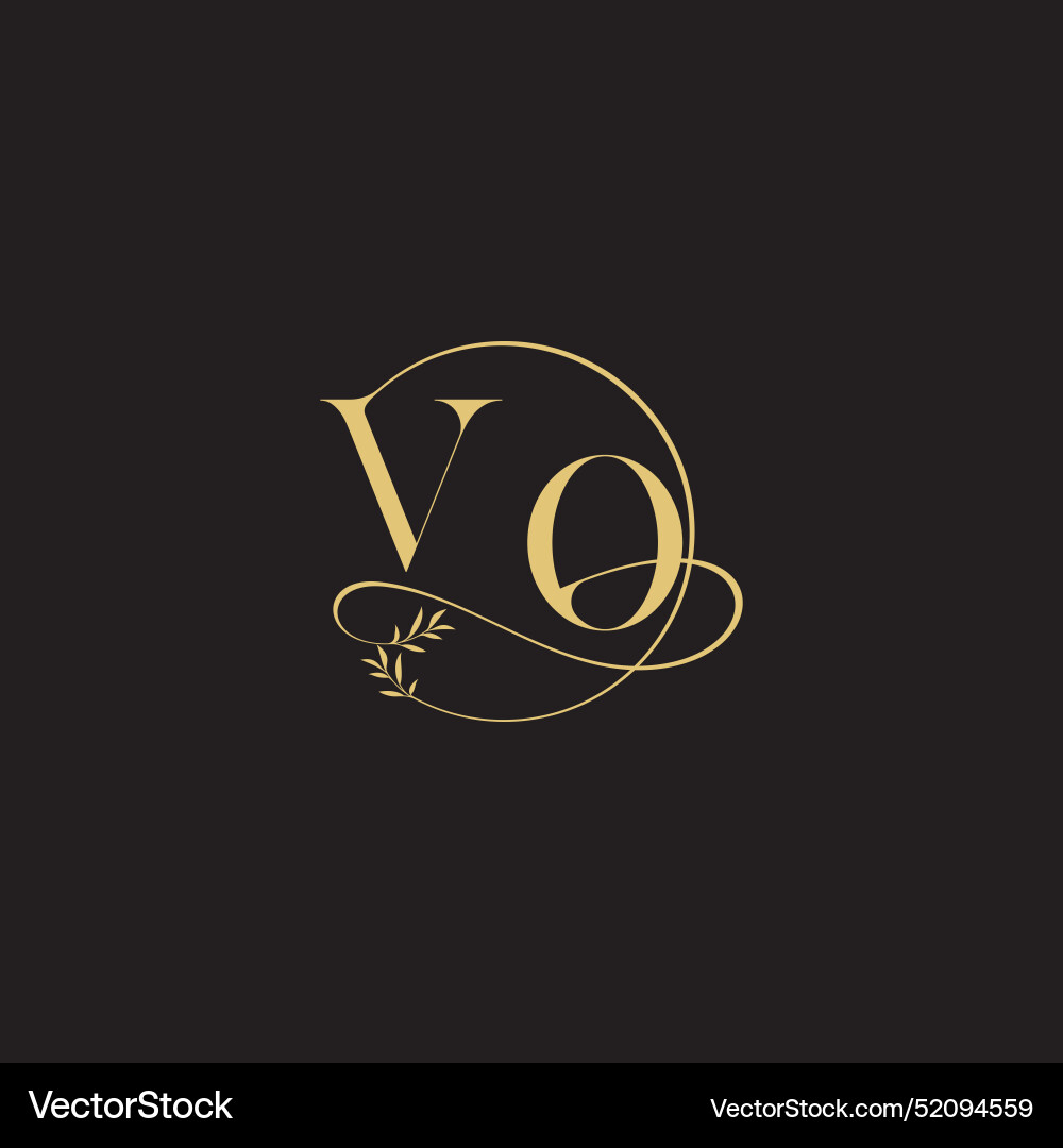 Circle and organic style vo wedding monogram Vector Image