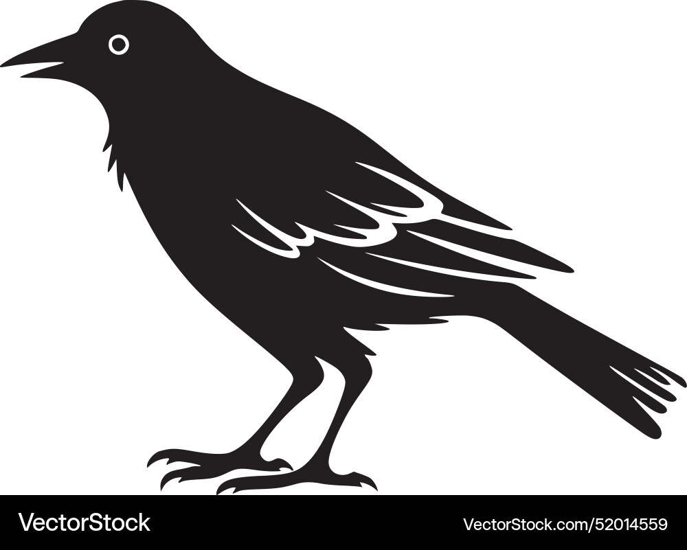 Crow - high quality logo ideal for t-shirt Vector Image
