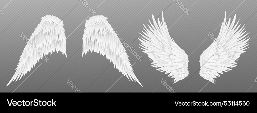 3d white realistic angel wing isolated Royalty Free Vector