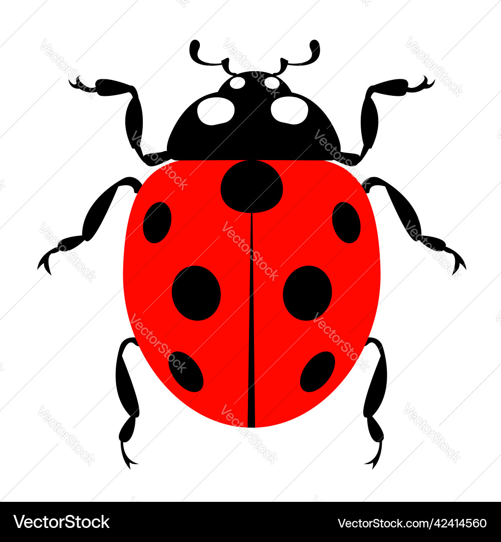 Ladybug insect animal graphic image Royalty Free Vector