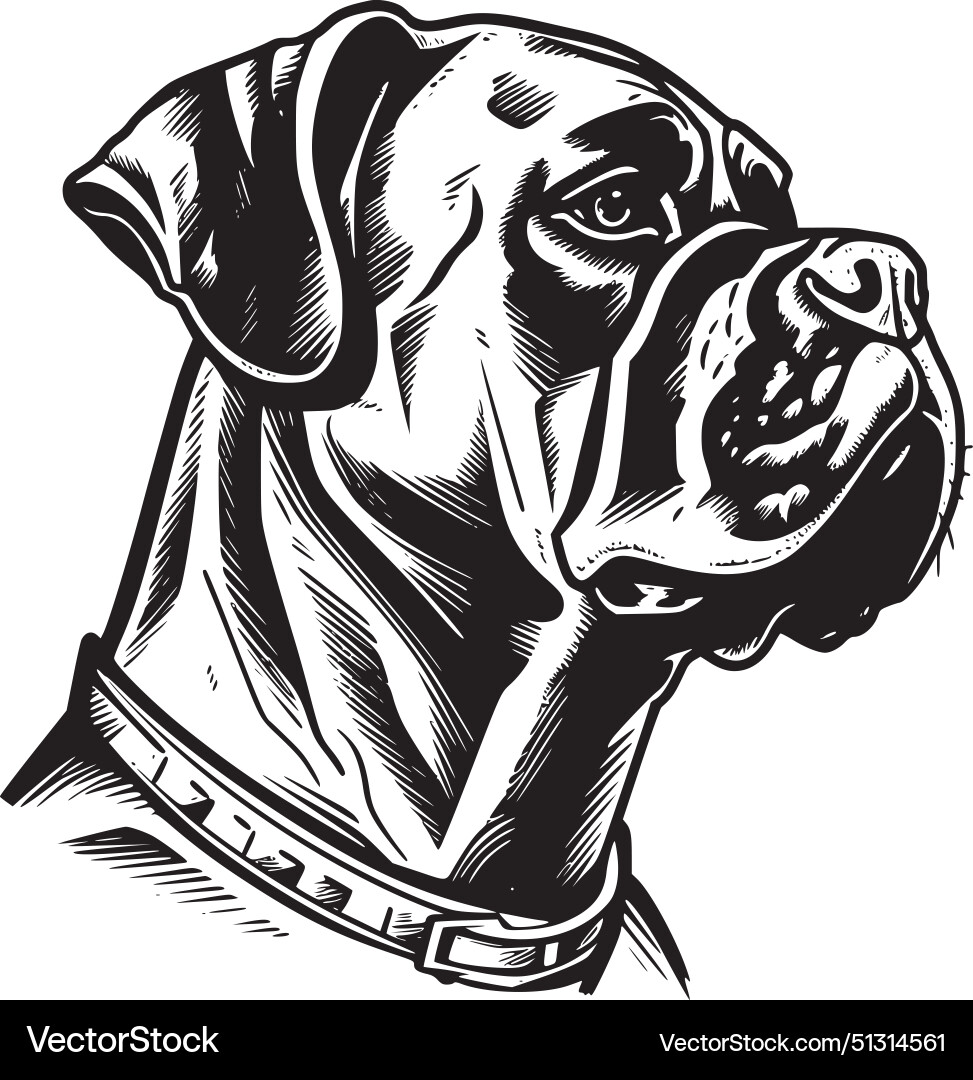 Boxer - black and white isolated icon Royalty Free Vector