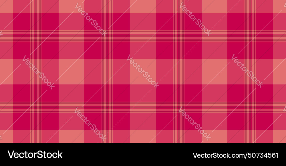 Throw background tartan hat texture seamless Vector Image