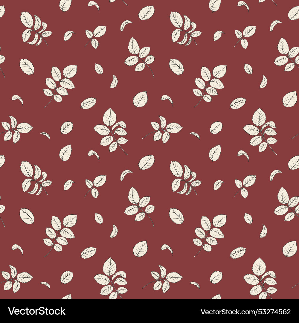 Bicolor rose floral pattern modern botanical Vector Image