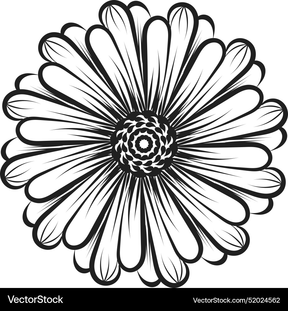 Flower line art for coloring pages Royalty Free Vector Image