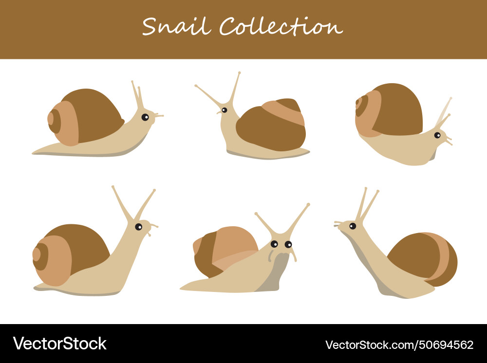 Snails set Royalty Free Vector Image - VectorStock
