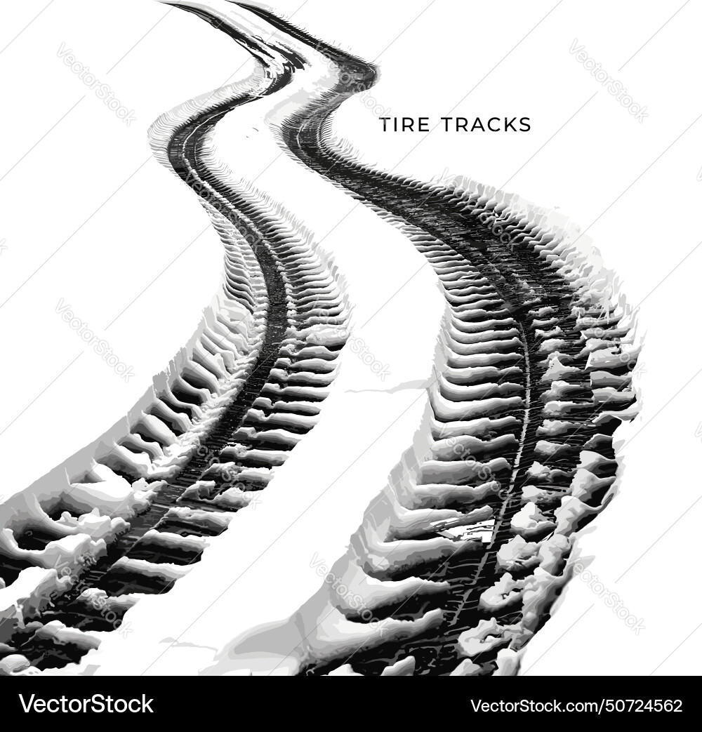Tire tracks isolated on white Royalty Free Vector Image